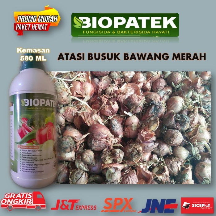 Jual Pupuk Paling Ampuh Atasi Busuk Bawang Merah - Pupuk 500 Ml Anti ... Jual Pupuk Paling Ampuh Atasi Busuk Bawang Merah - Pupuk 500 Ml Anti ...