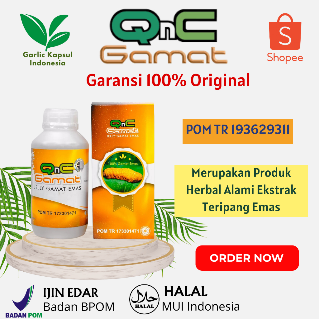 Jual QnC Jelly Gamat Emas ASLI Ekstrak Teripang Emas Multikhasiat Aman ...