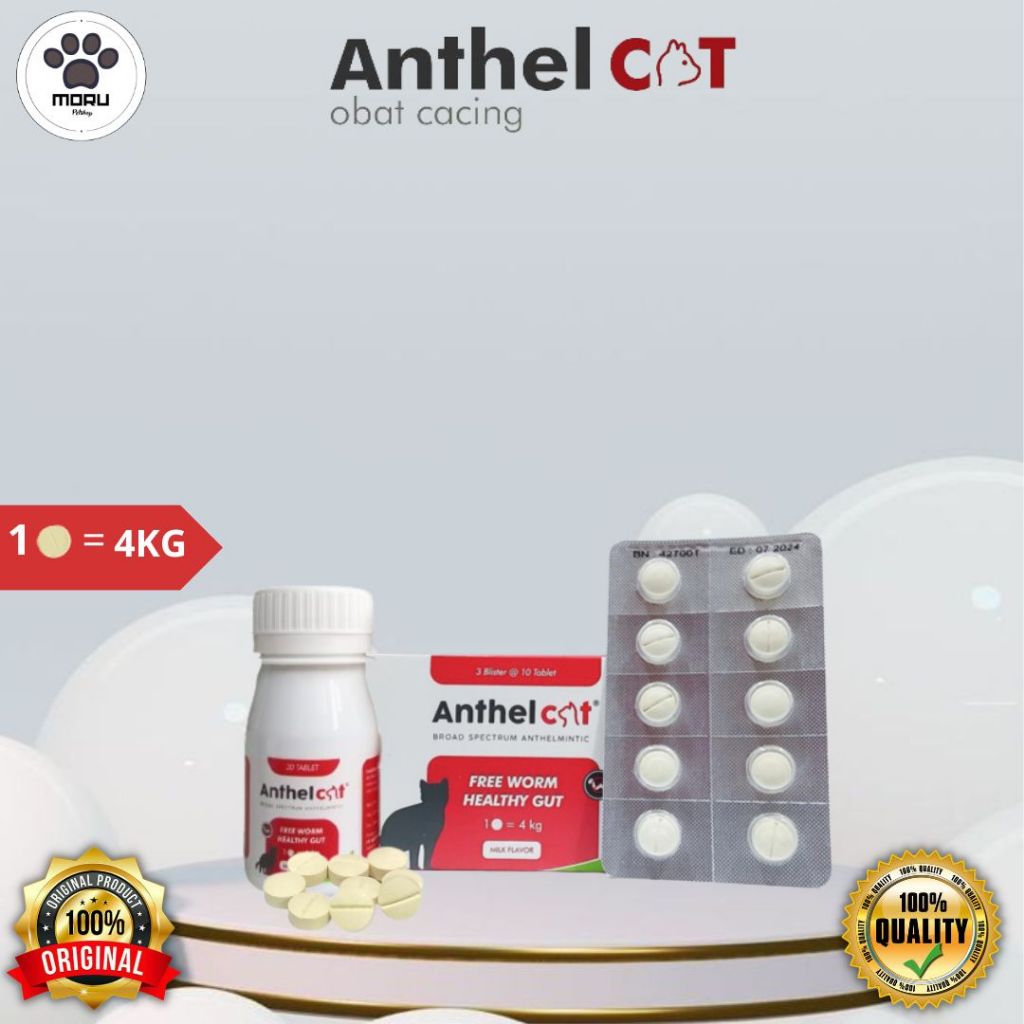 Jual Anthel cat obat cacing kucing kalbe farma eceran 1 tablet | Shopee ...