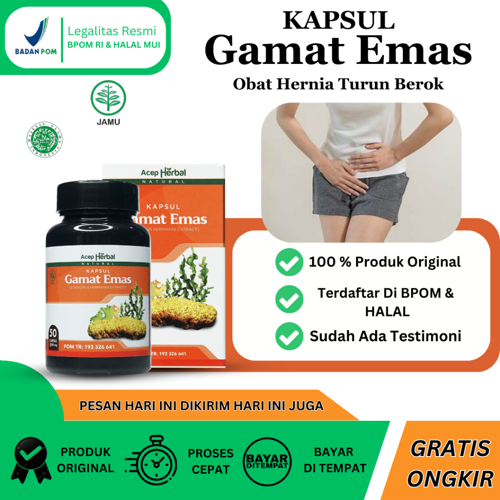 Jual Kapsul Gamat Emas Asli 100% Original - Obat Hernia Turun Berok ...