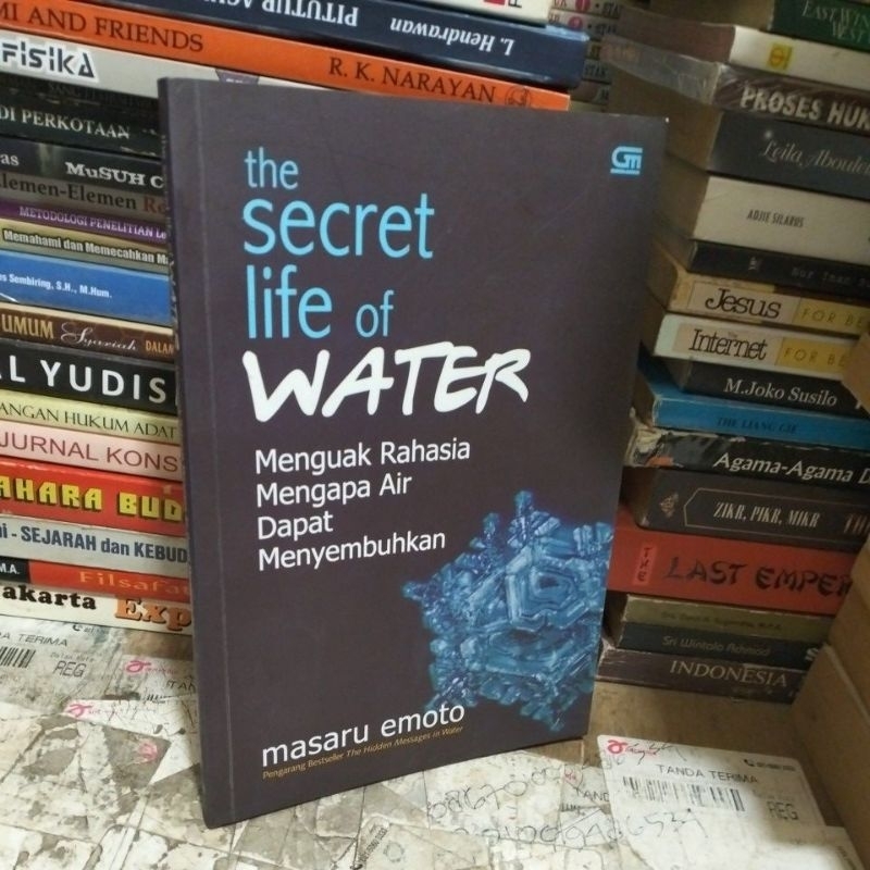 Jual The Secret Life of Water By Masaru Emoto | Shopee Indonesia