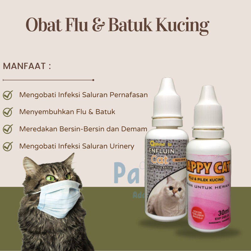 Jual Obat Flu dan Pilek Kucing Terbaik Anti Bersin dan Ingusan Paling ...