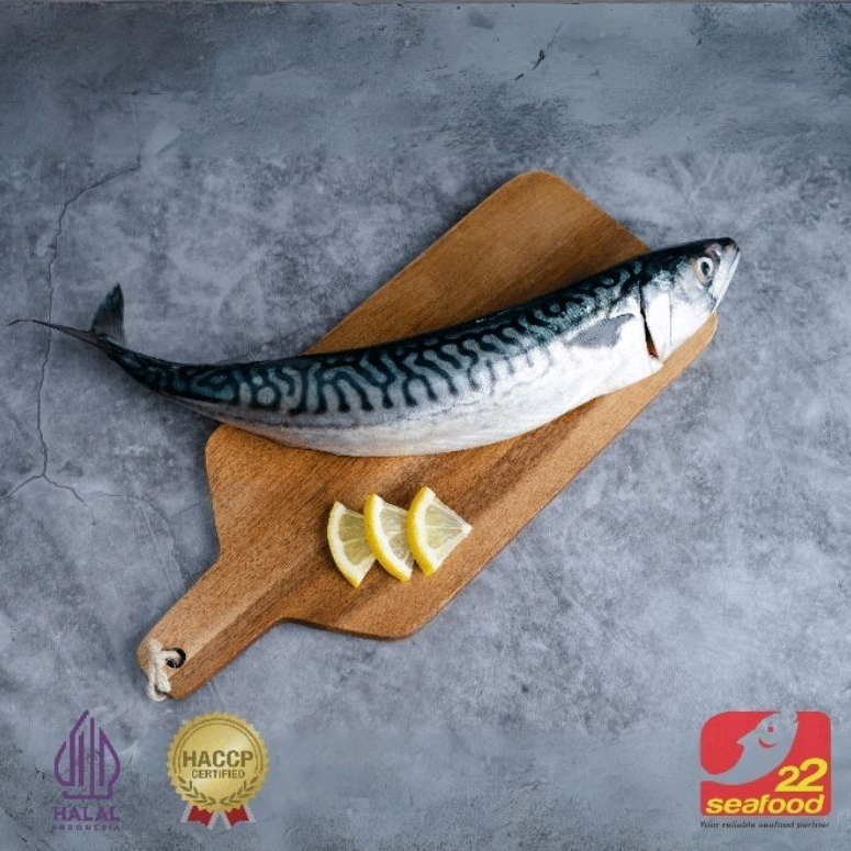 Jual Ikan Saba 1 kg / Pacific Mackerel / Seafood 22 | Shopee Indonesia