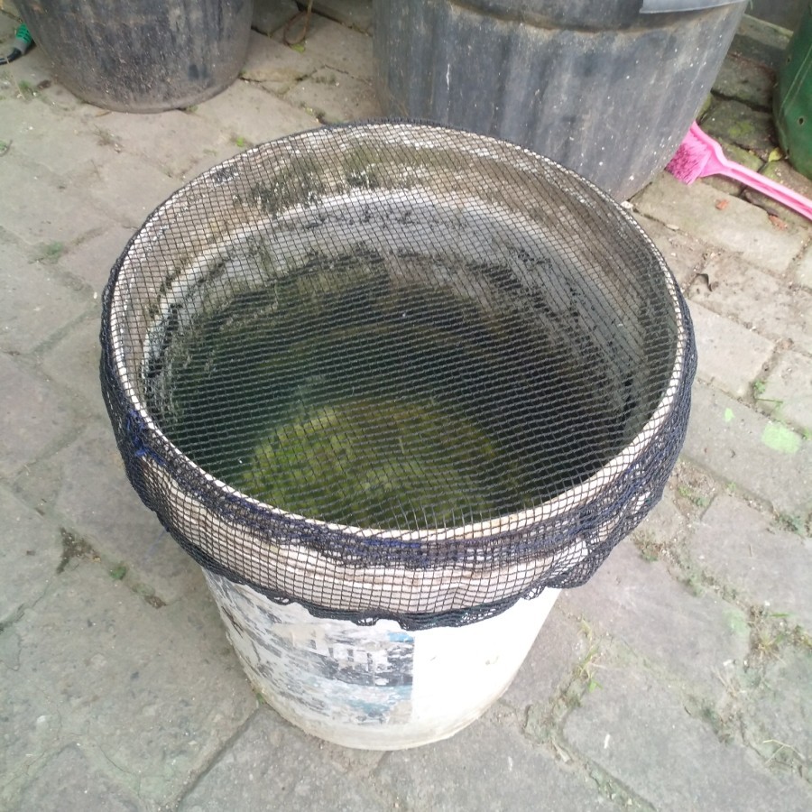 Jual Penutup Ember Cat 20L-25Kg | Shopee Indonesia