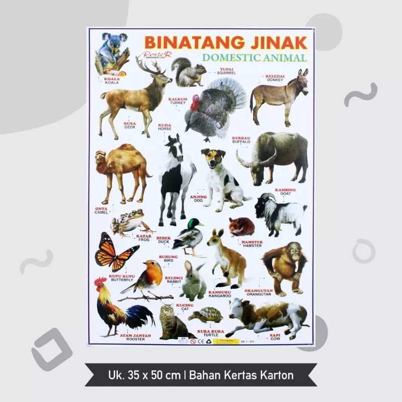 Jual Poster Edukasi Anak Mengenal Binatang | Shopee Indonesia