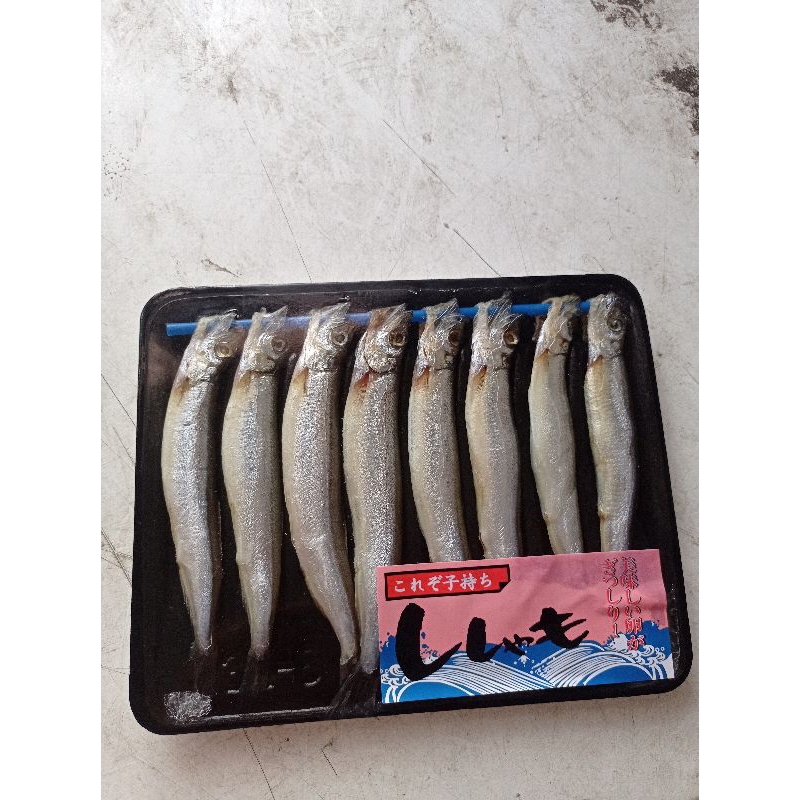 Jual ikan shisamo/cafelin fish//ikan full telor//ikan cipung | Shopee ...