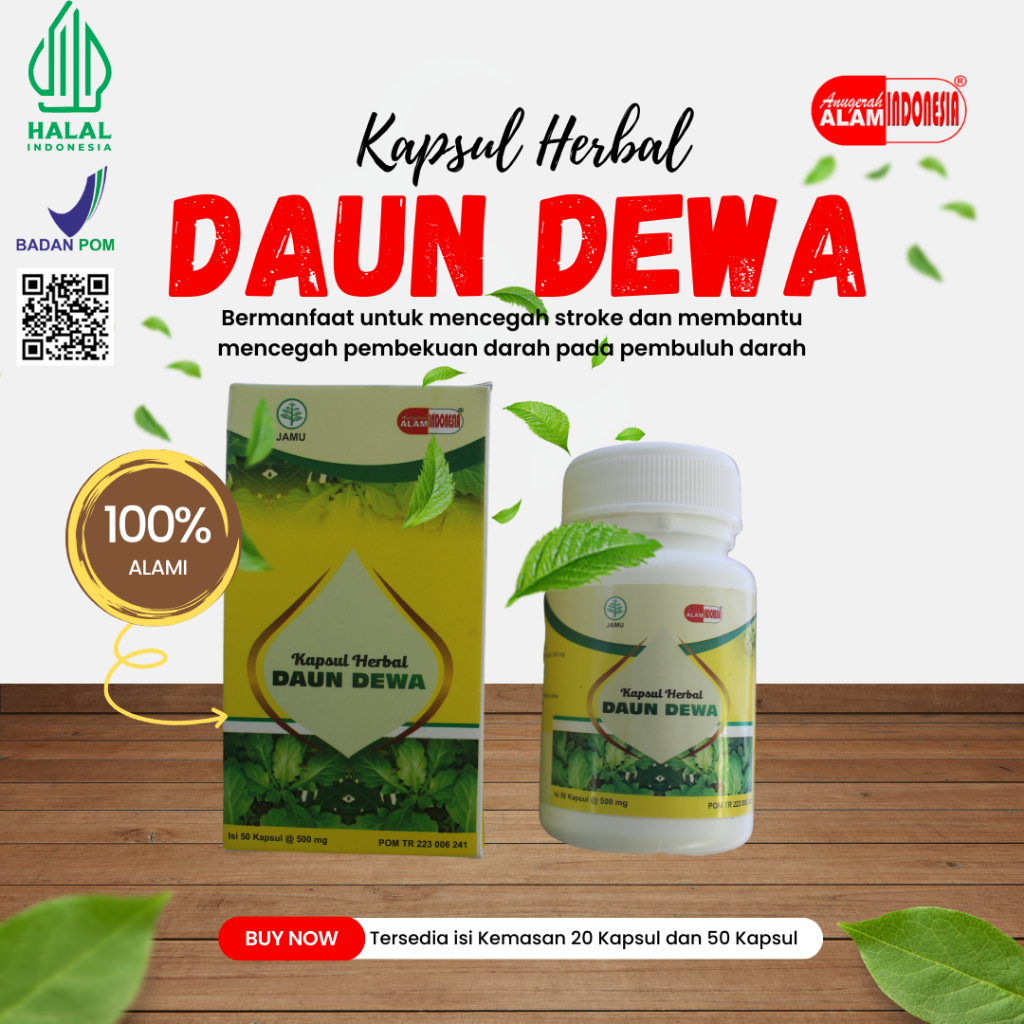 Jual Kapsul Herbal Daun Dewa | 50 Kapsul | Anugerah Alam Indonesia ...