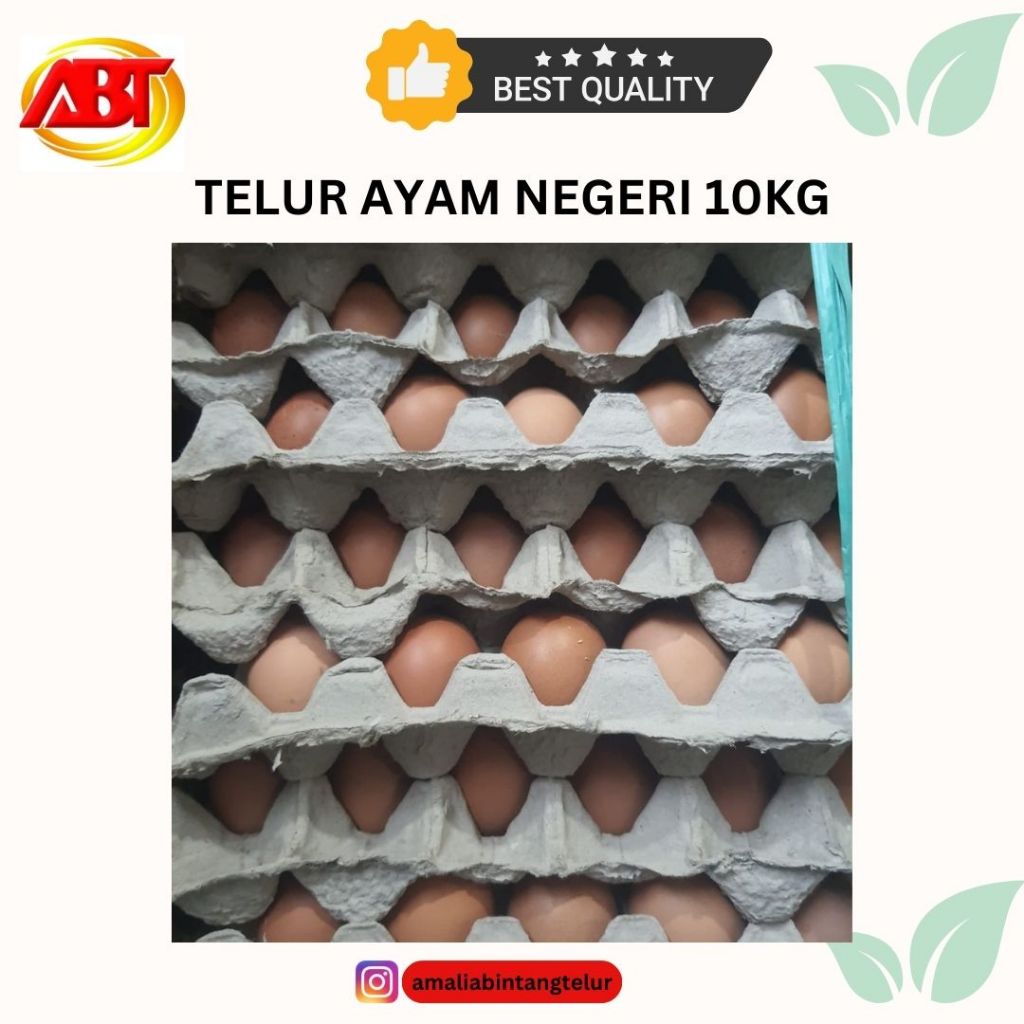 Jual ABT - Telur Ayam Negeri 10kg Lezat dan Bergizi (FRESH-AMAN ...
