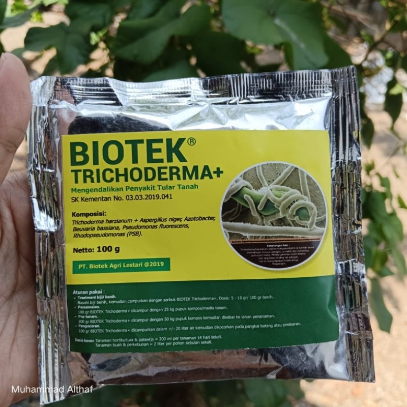 Jual Pupuk Biotek Trichoderma Tricoderma 100 Gram Mengendalikan ...