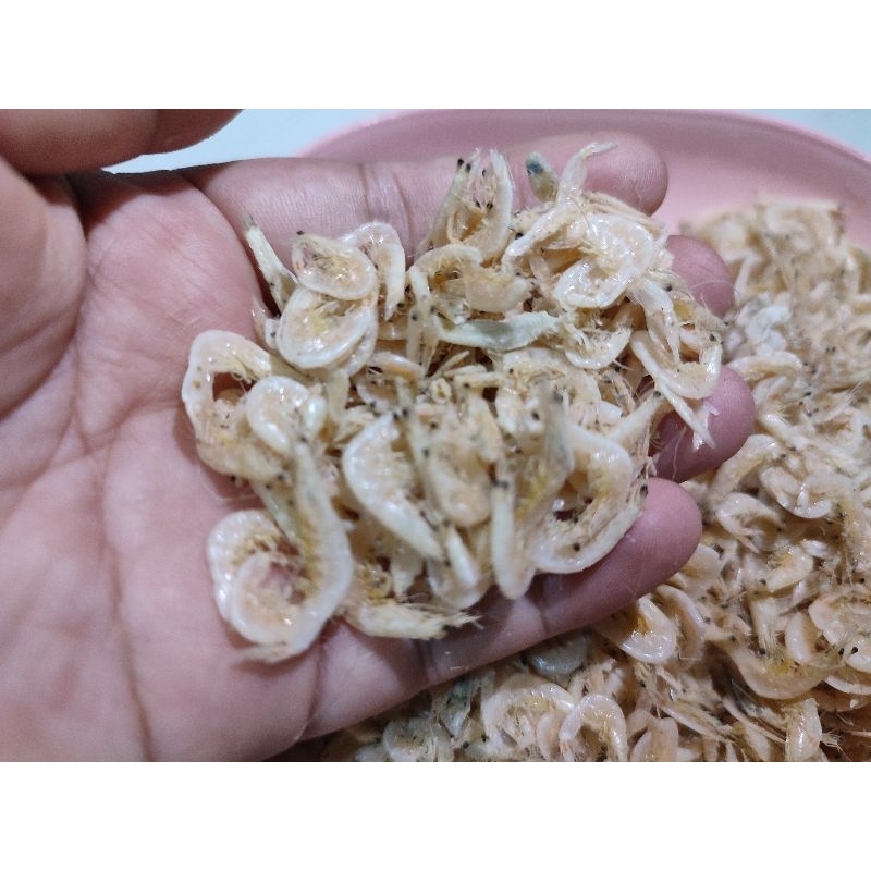 Jual Udang Rebon Kasar Super 100 gr | Shopee Indonesia