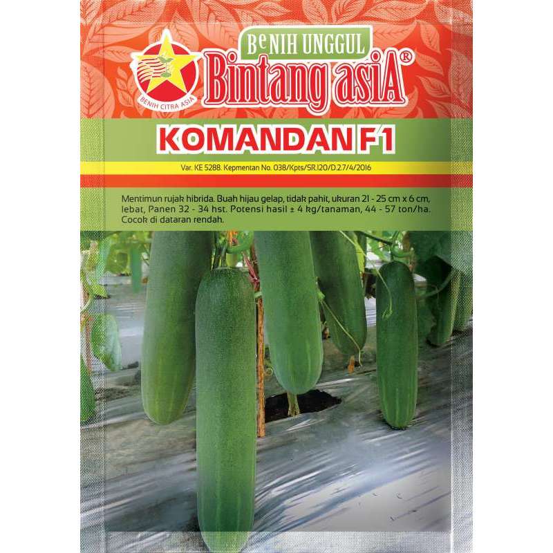 Jual Benih Bibit Timun Komandan F1 20gr / BCA / Timun Lalap | Shopee ...