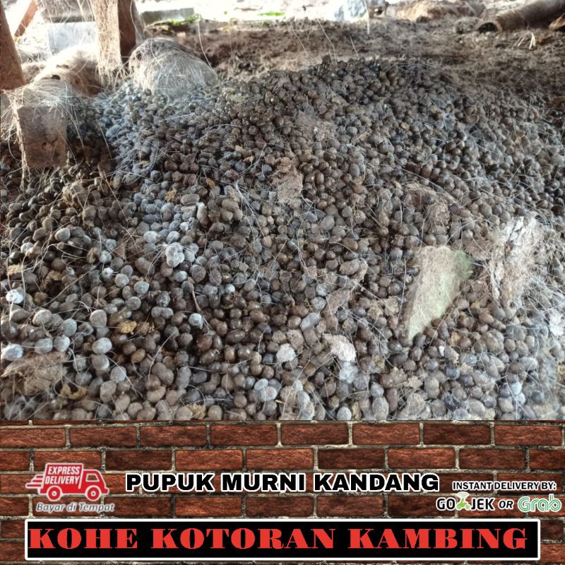 Jual Pupuk kandang kohe kotoran hewan tai kambing terbaik pupuk tanaman ...