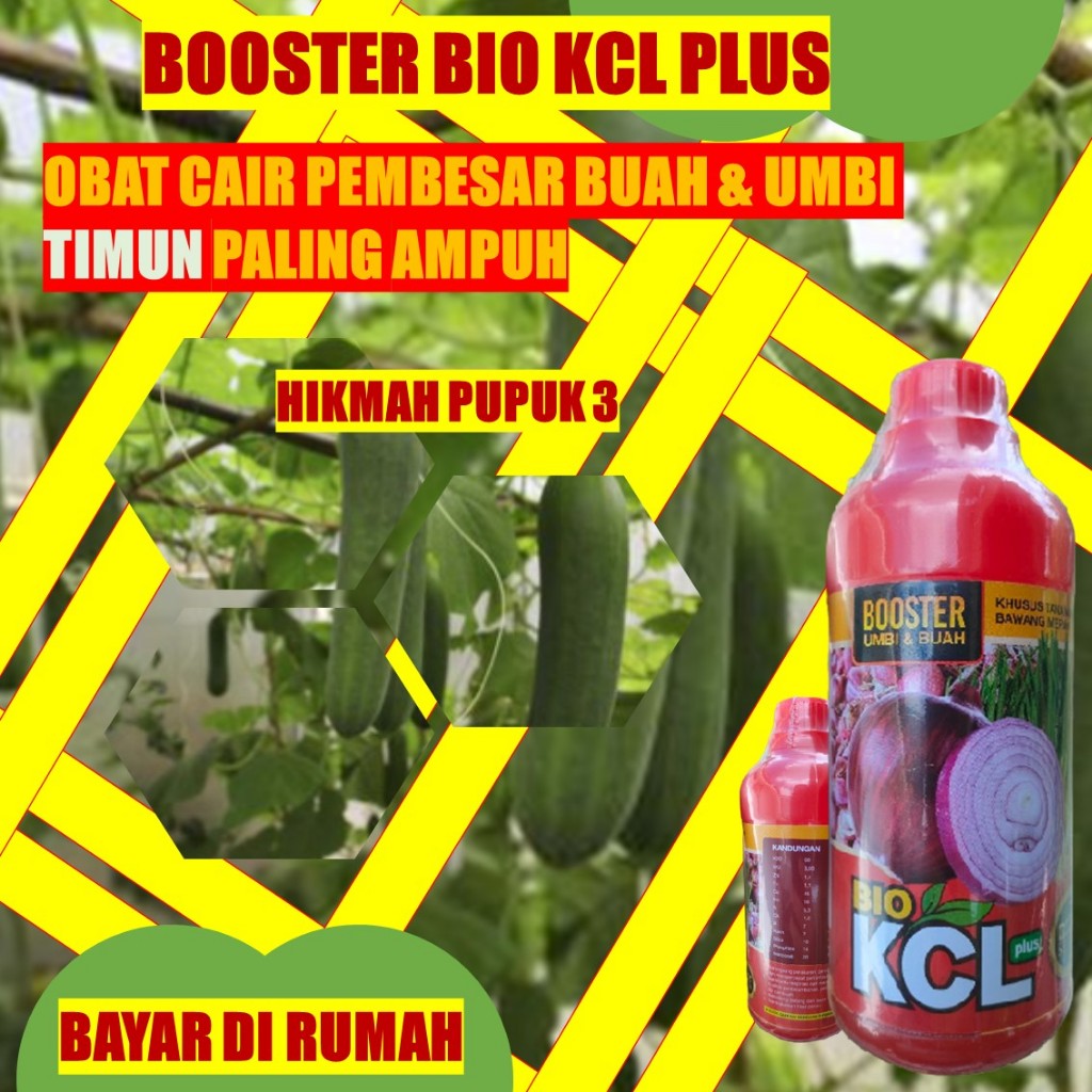 Jual BOOSTER PEMBESAR TIMUN PALING AMPUH - BIO KCL Plus Memperkuat batang tanaman Mentimun ...