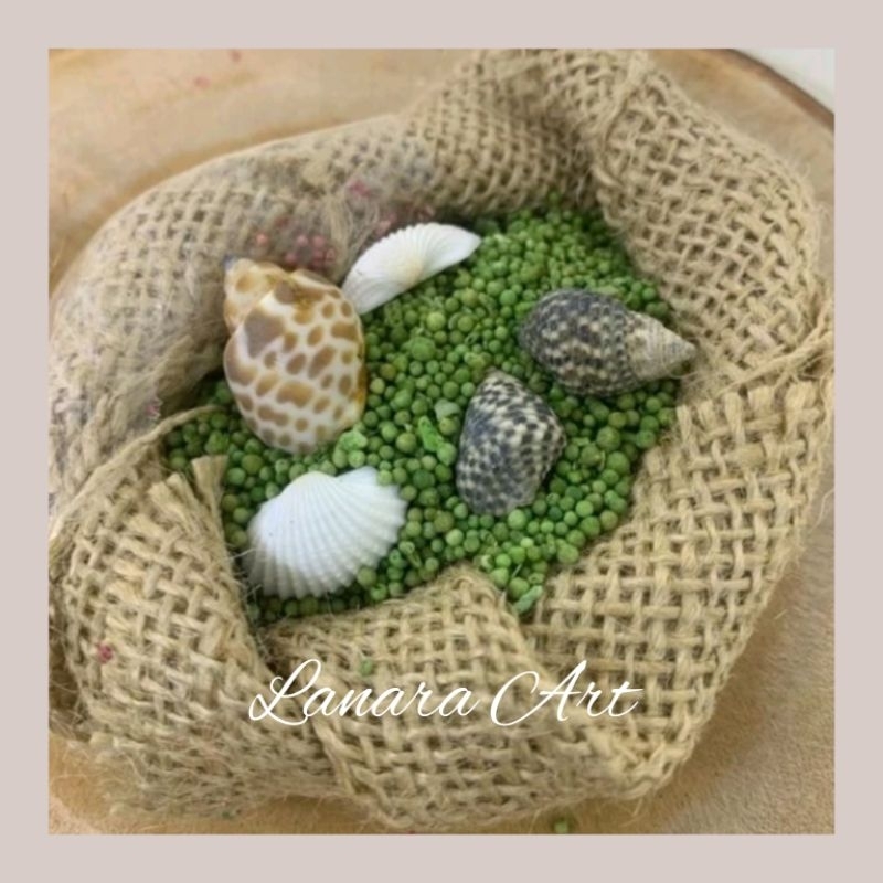 Jual Pasir Kerang Natural Warna Kerajinan Dekorasi Properti Foto ...