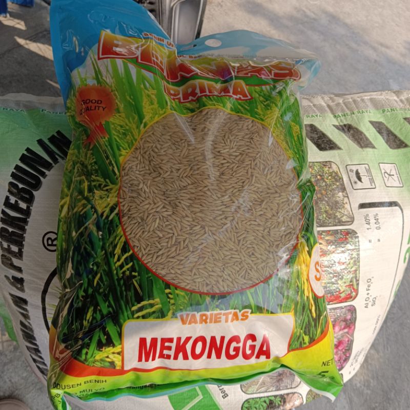 Jual benih padi bernas prima | Shopee Indonesia