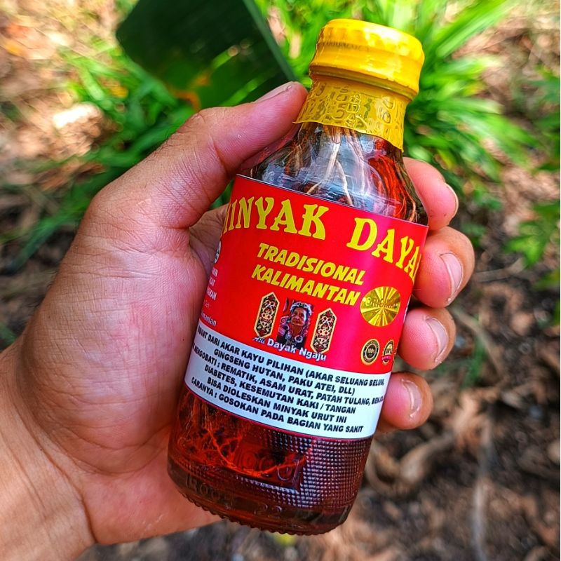 Jual Asli Original Minyak Urut Dayak Lebel Merah 150 ml | Shopee Indonesia