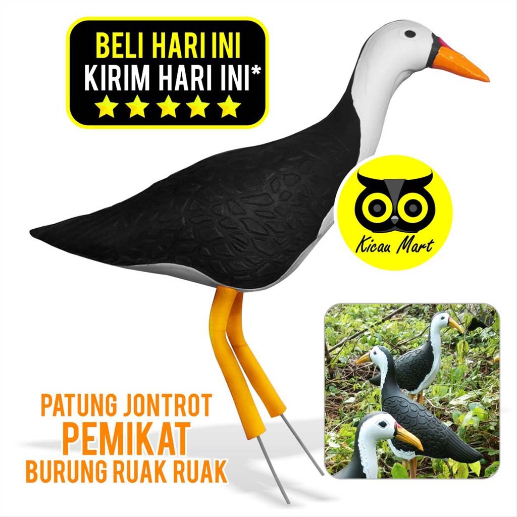 Jual Pemikat Burung Ruak Kareo Wakwak Truwok Patung Jontrot Alat Pikat ...