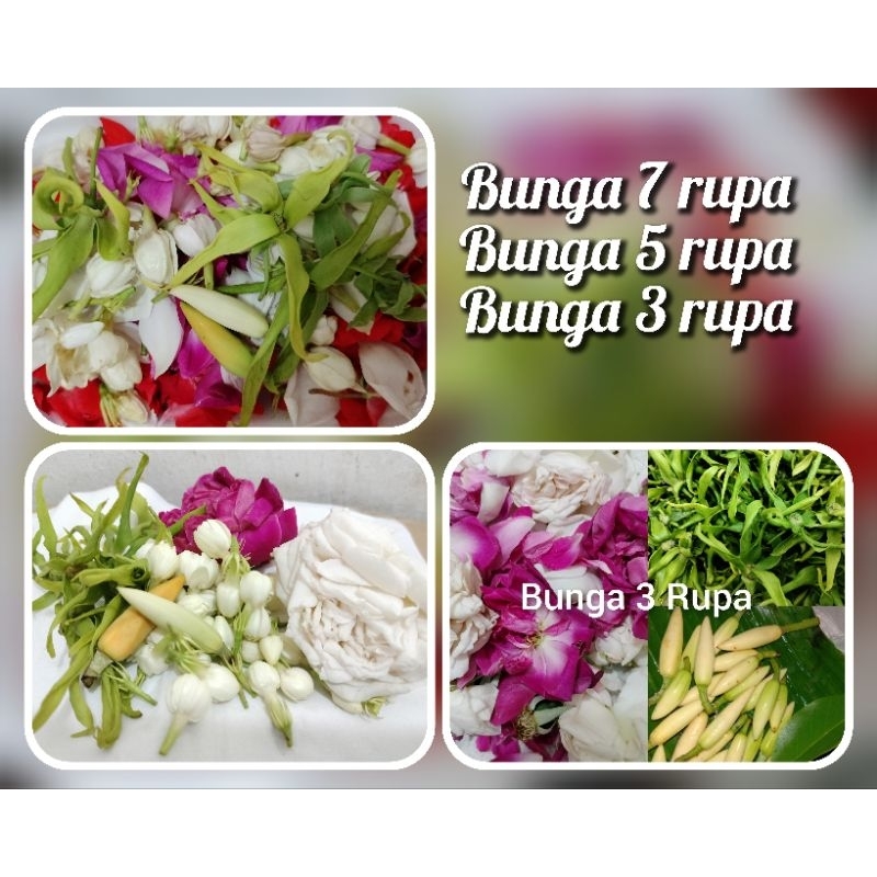 Jual Bunga 7 Rupa Kembang Wangi, 5 Rupa Kembang Segar Setaman, 3 Rupa ...