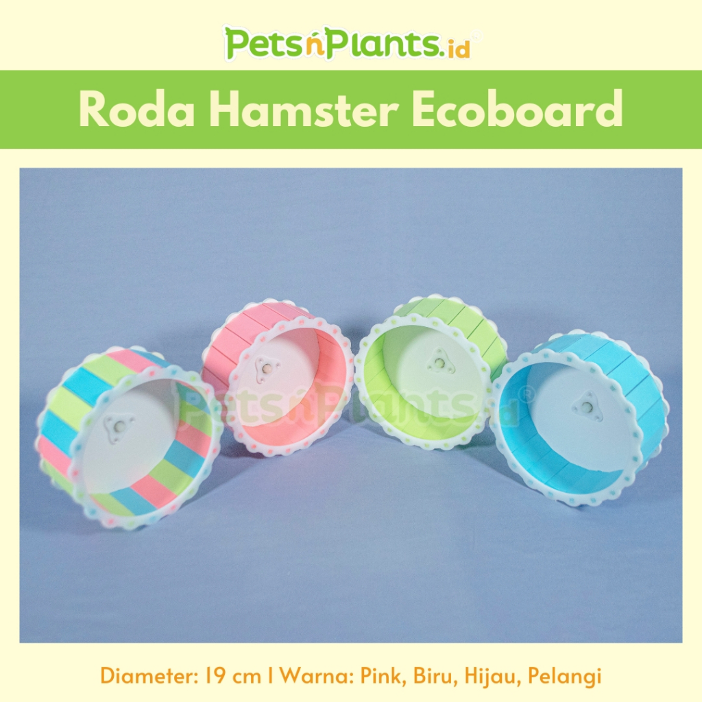 Jual Mainan Roda Kandang Hamster BESAR - Silent Jogging Wheel Ecoboard ...