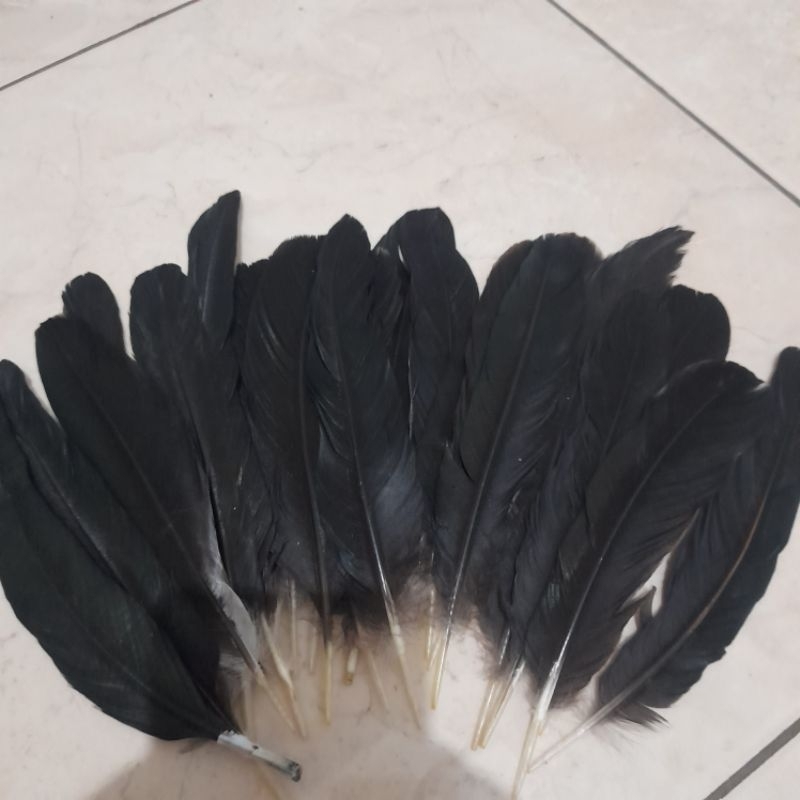 Jual bulu ayam ujung bulat isi 100 helai warna natural | Shopee Indonesia