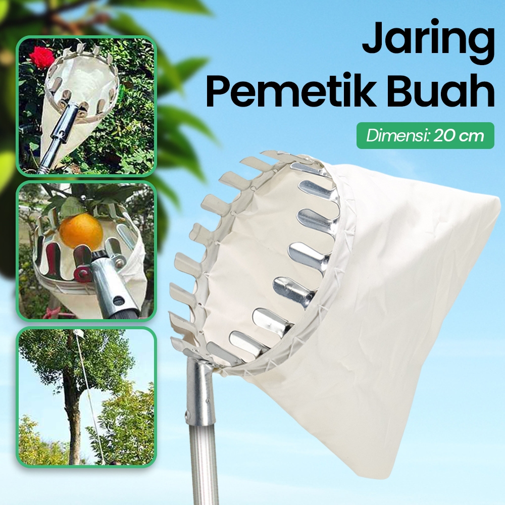 Jual Jaring Net Alat Pemetik Pengambil Buah Mangga Belimbing Jambu ...