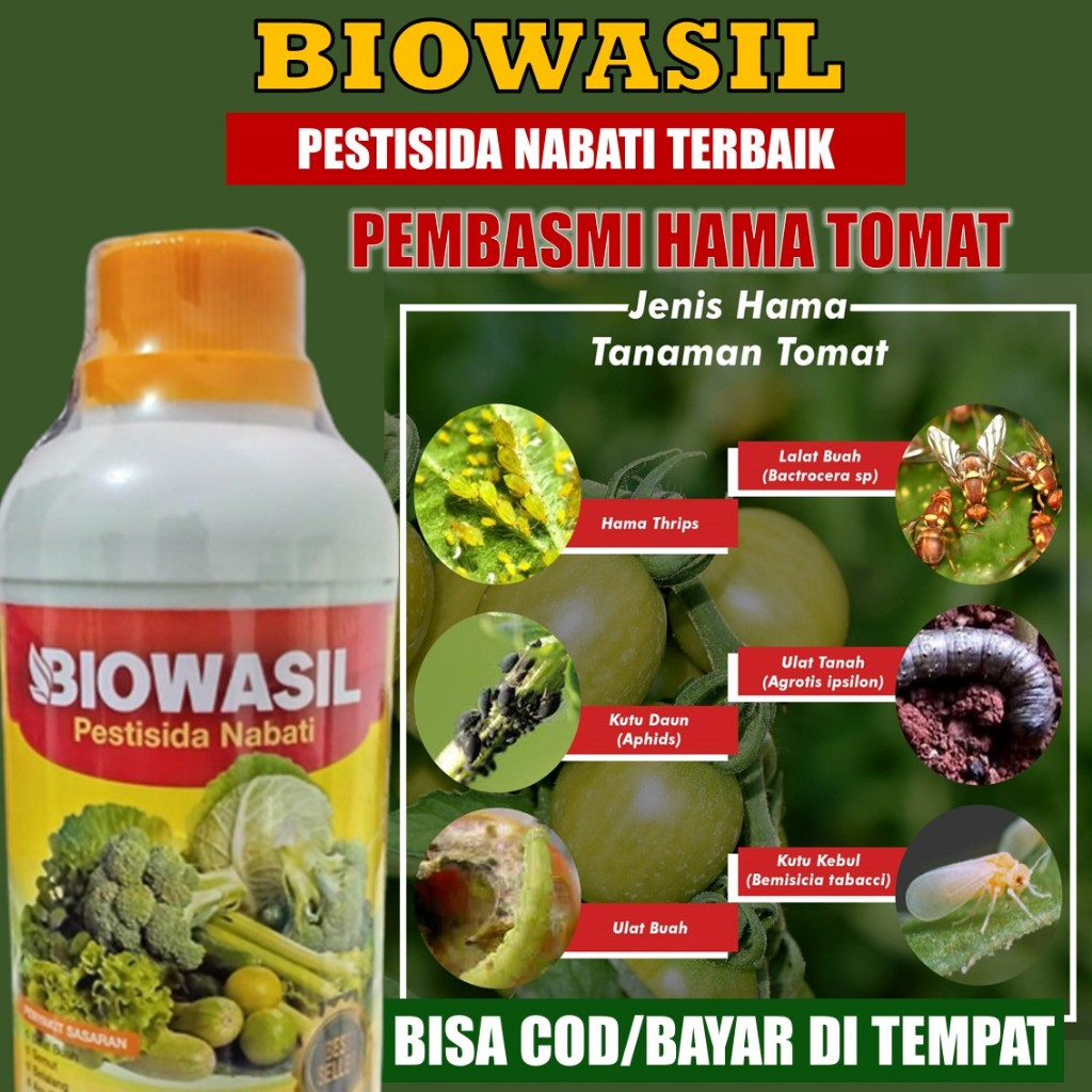 Jual BIOWASIL 500 ML Pupuk Pestisida Semprot Organik Pengendali Hama Tanaman Tomat, Obat Semprot ...