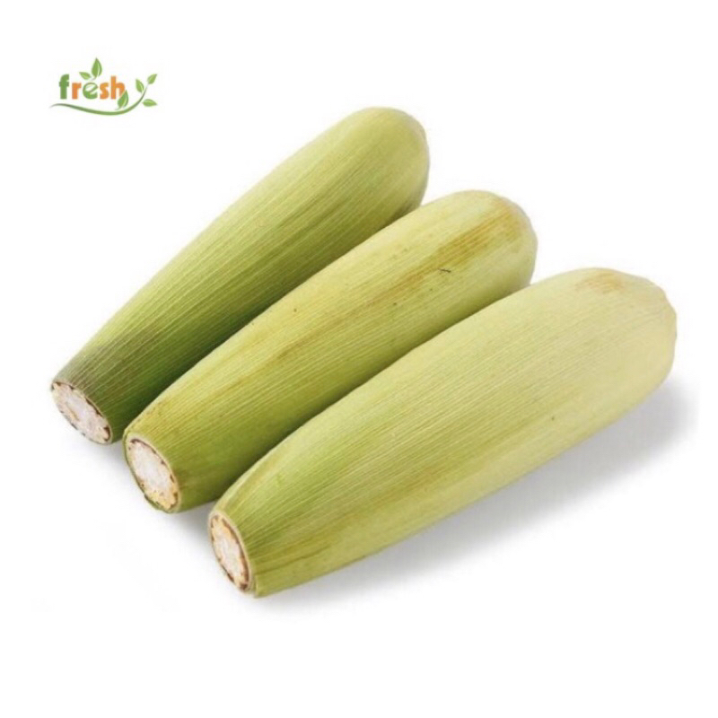 Jual Jagung Madu (Harga Satuan) | Shopee Indonesia