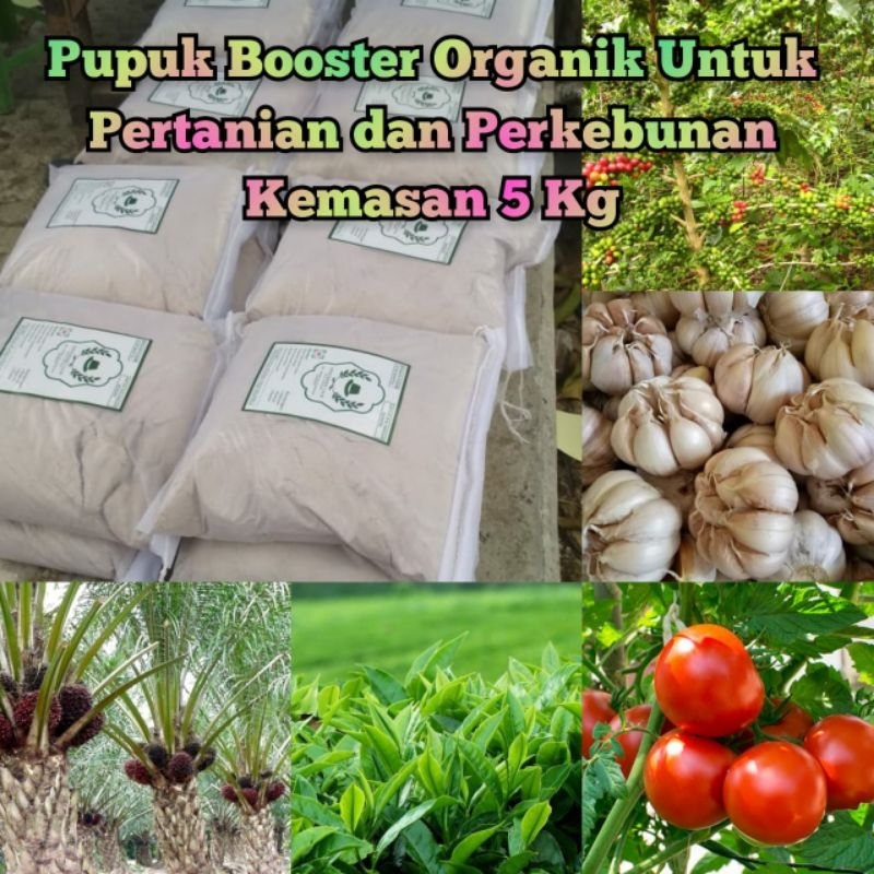 Jual Pupuk Booster Kemasan 5kg Untuk Pertanian dan Perkebunan ...