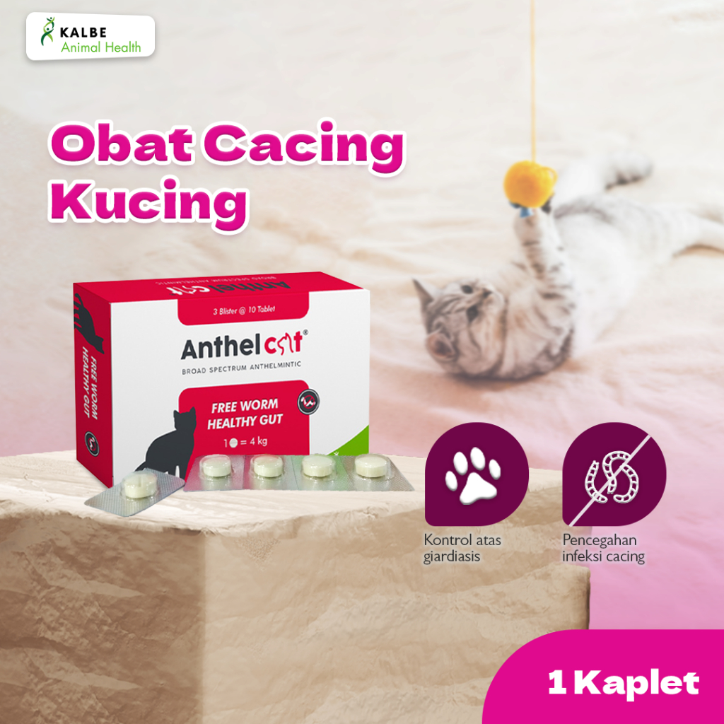 Jual Anthel Cat 1 Tablet - Obat Cacing Kucing by Kalbe [ORIGINAL ...