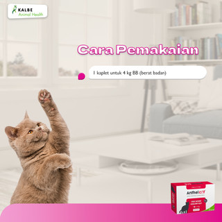Jual Anthel Cat 1 Tablet - Obat Cacing Kucing by Kalbe [ORIGINAL ...