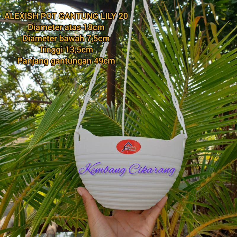 Jual (1pc) ALEXISH POT GANTUNG LILY PARIS 20 (18cm) : pot gantung bagus ...