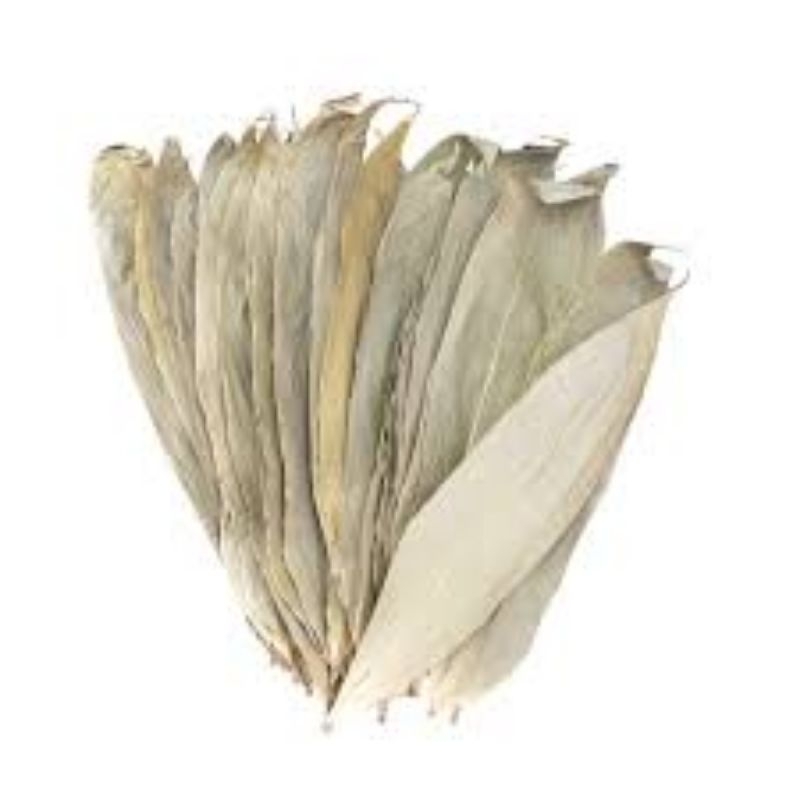 Jual daun bambu kering 10 lembar | Shopee Indonesia