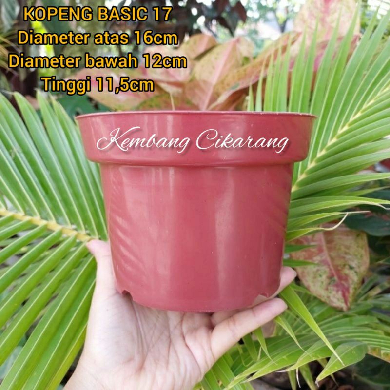 Jual (1pc) KOPENG BASIC 17 (16cm) POLOS MERAH BATA : pot semai tanaman ...