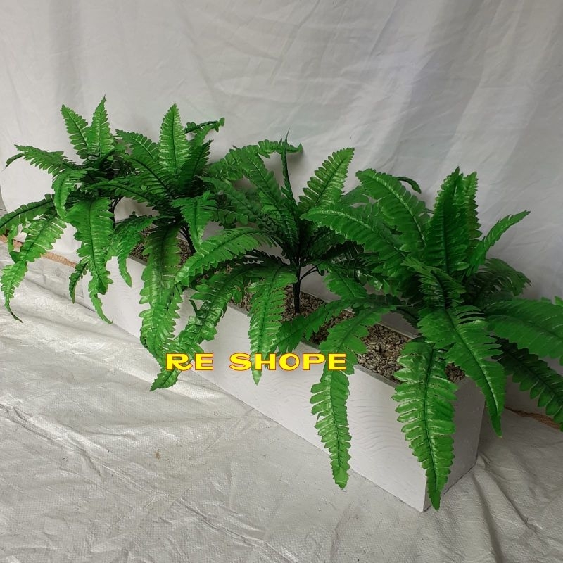 Jual pakis Boston pakis besi - tanaman pakis artificial pembatas ...