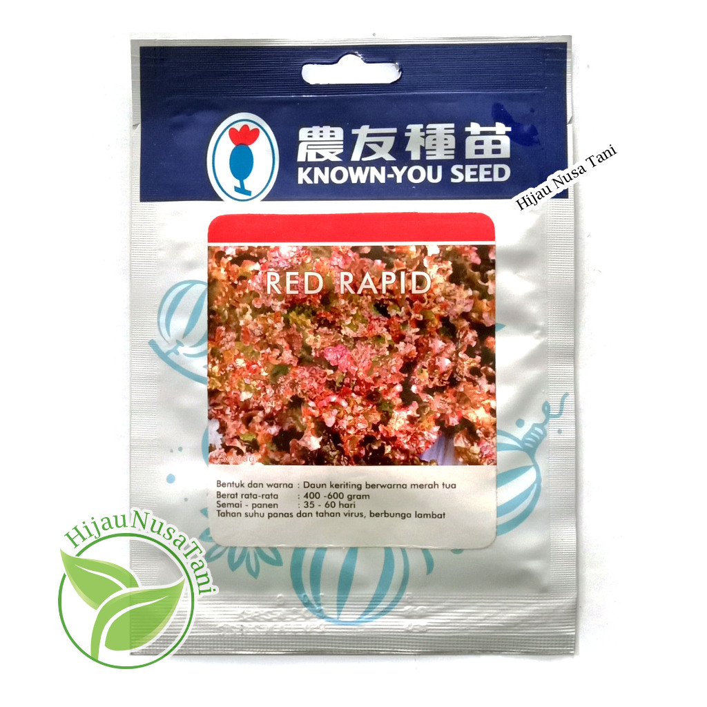 Jual Benih Selada Keriting Merah RED RAPID 10 gram Known You Seed Kemasan Pabrik - benih bibit ...