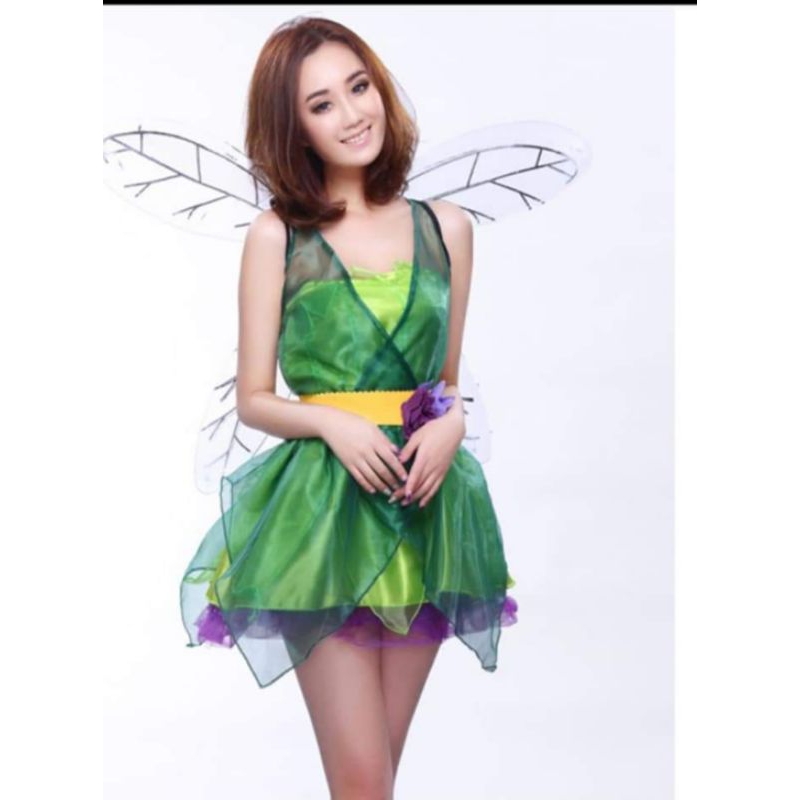 Jual Kostum princess Cosplay Disneyland kostum PERI// kostum Unik untuk ...