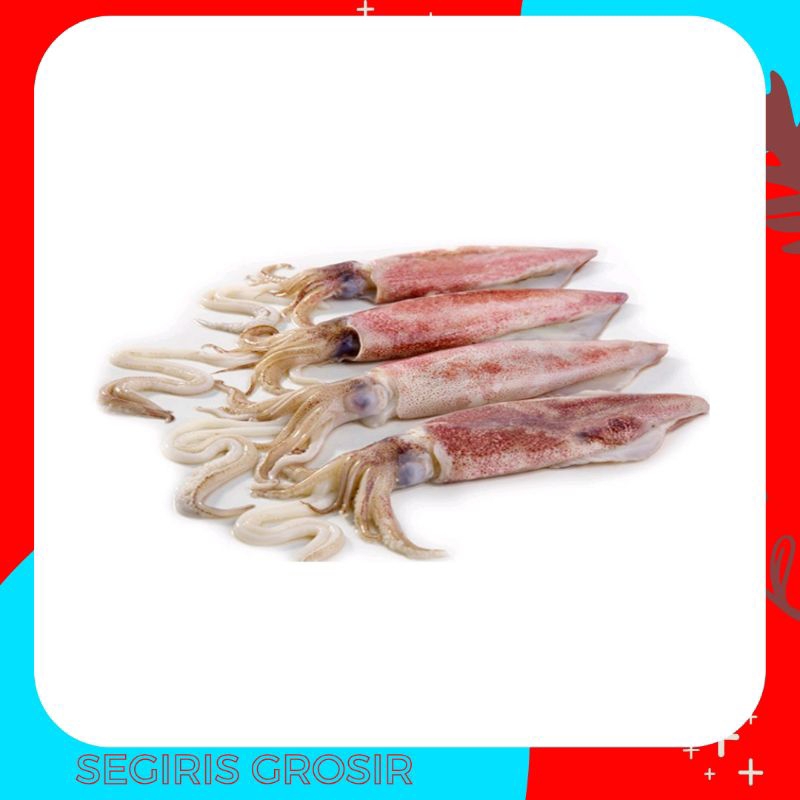 Jual cumi segar fresh ready pagi | Shopee Indonesia