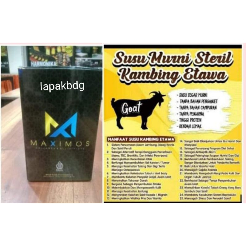 Jual Maximos Susu Kambing Etawa +collagen & glutatione | Shopee Indonesia