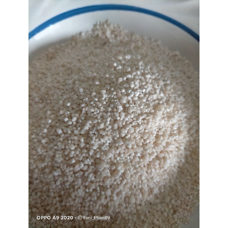 Jual Sagu Rendang/ Makanan Pokok Pengganti Nasi / Sagu Gobak | Shopee ...