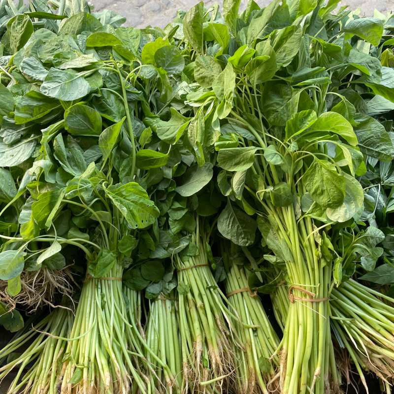 Jual Bayam 1 ikat besar 500 gram [INSTAN] | Shopee Indonesia