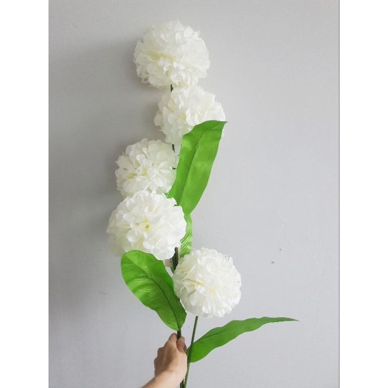 Jual Bunga Krisan Flower Super Jumbo Premium Pom Pom Flower Premium ...