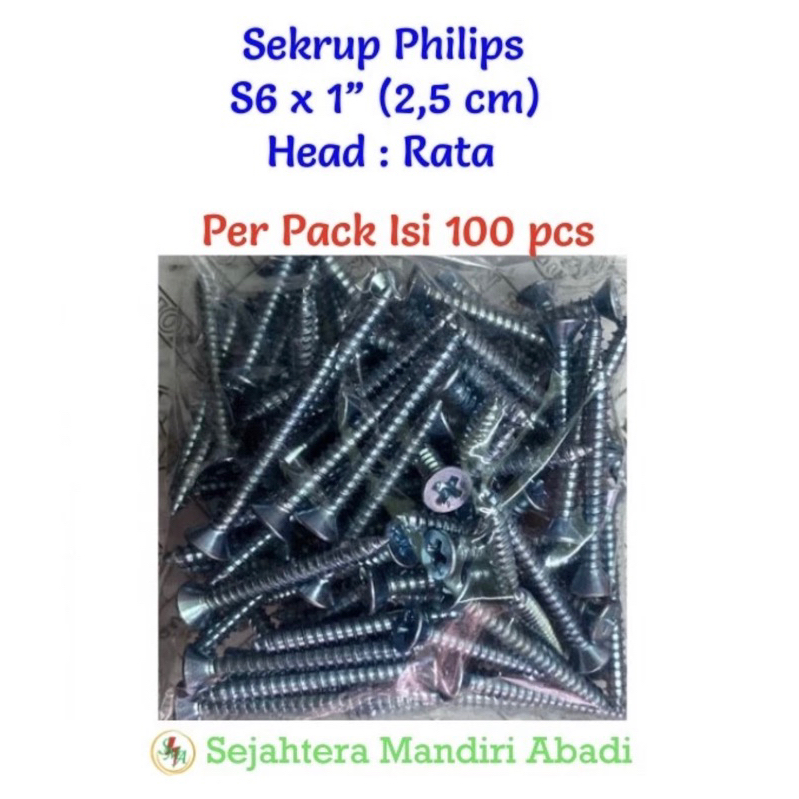Jual Sekrup Philips 1” 2,5cm S6 Self-Tapping Screw Head Rata 100 pcs Silver | Shopee Indonesia