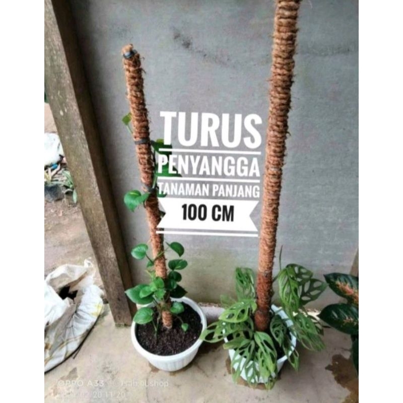 Jual Turus Tanaman 100 cm - Turus Penyangga Tanaman Pipa Paralon 100 cm ...