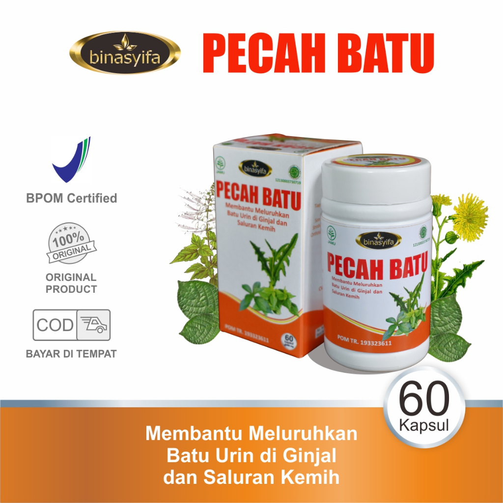 Jual Obat Herbal Batu Ginjal dan Penghancur Batu Empedu Alami - Obat Kencing Batu Infeksi ...