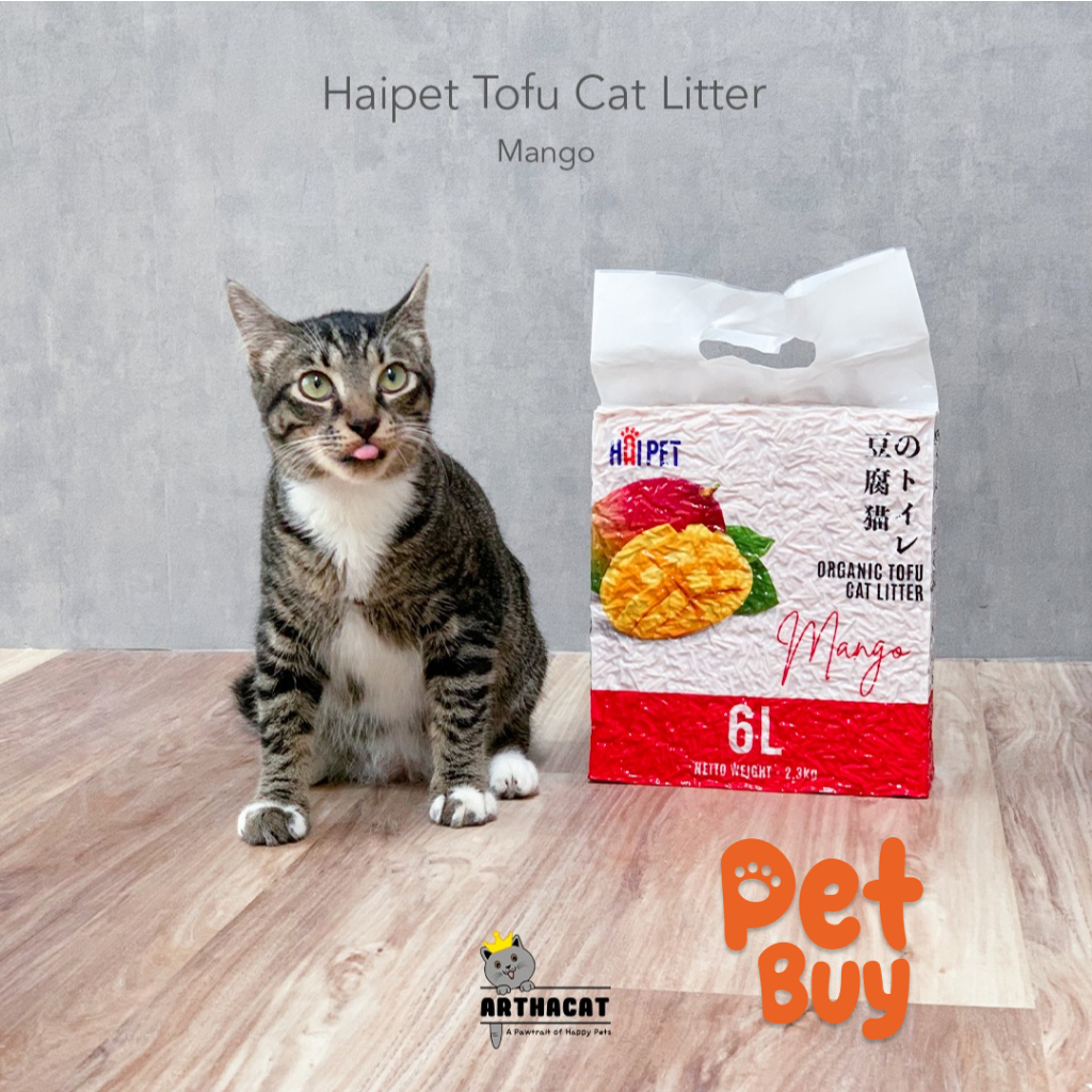 Jual HAIPET Pasir Kucing Tofu Cat Litter Mango 6 L | Shopee Indonesia