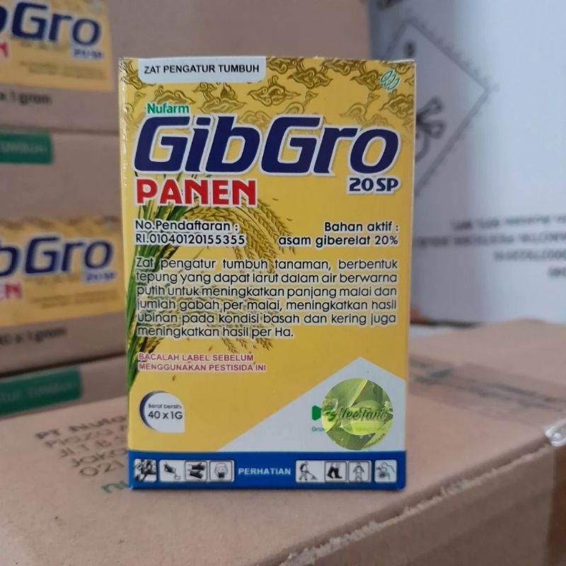 Jual Gib gro panen 20 sp | Shopee Indonesia