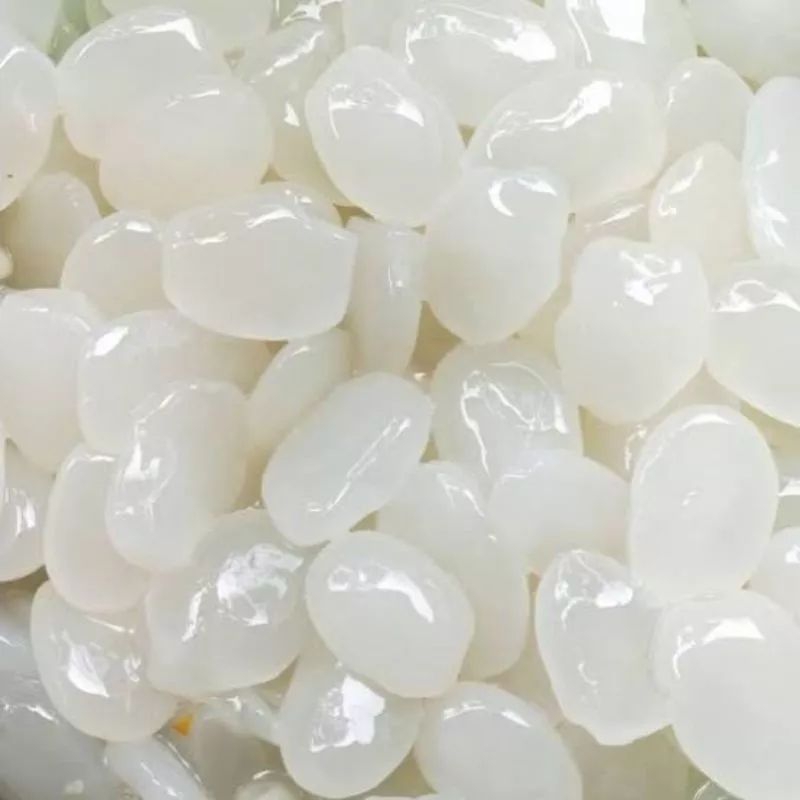 Jual kolang Kaling segar 500 gram kolang Kaling bahan manisan buah Atep ...