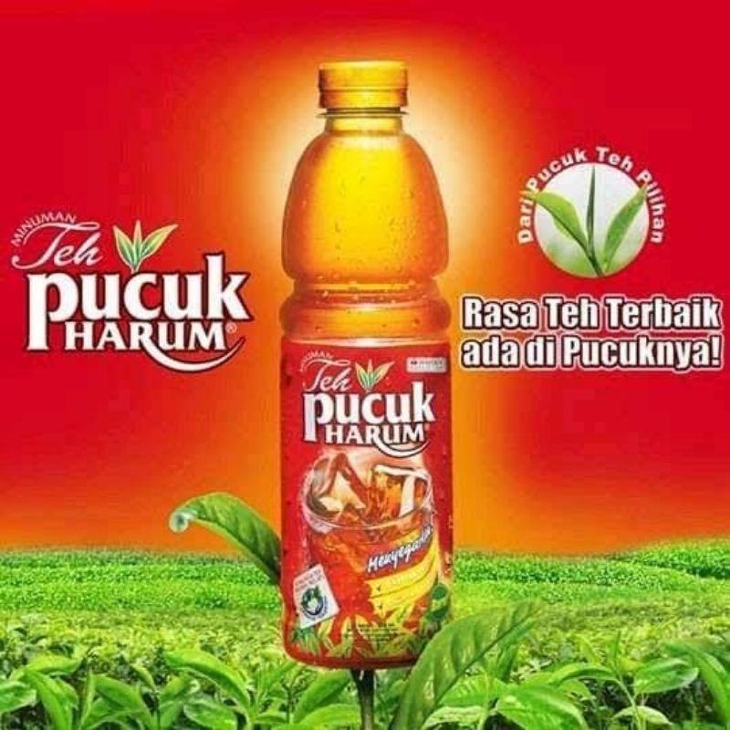 Jual Teh Pucuk Harum 350ml (1 Dus isi 24 botol) | Shopee Indonesia