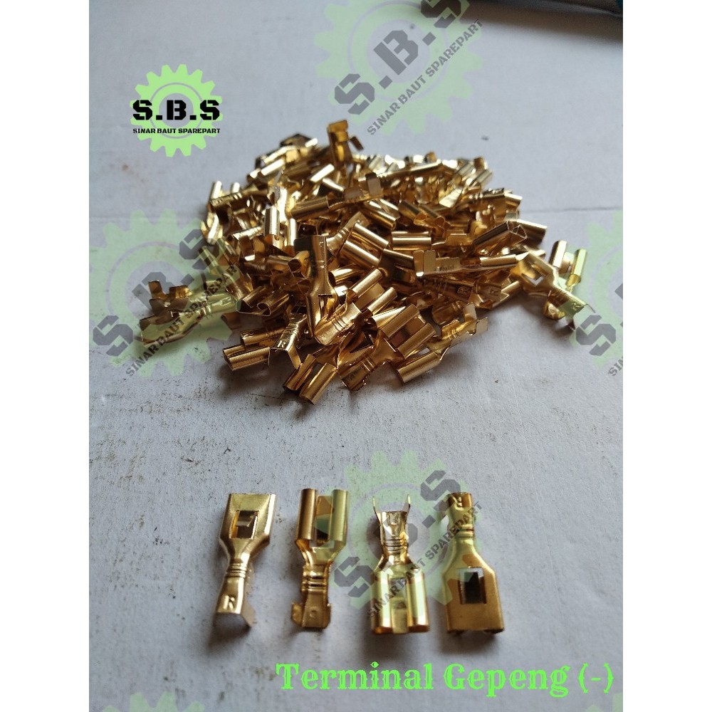 Jual TERMINAL SKUN GEPENG CEWEK / TERMINAL SKUN H3555 (ISI 100pcs ...