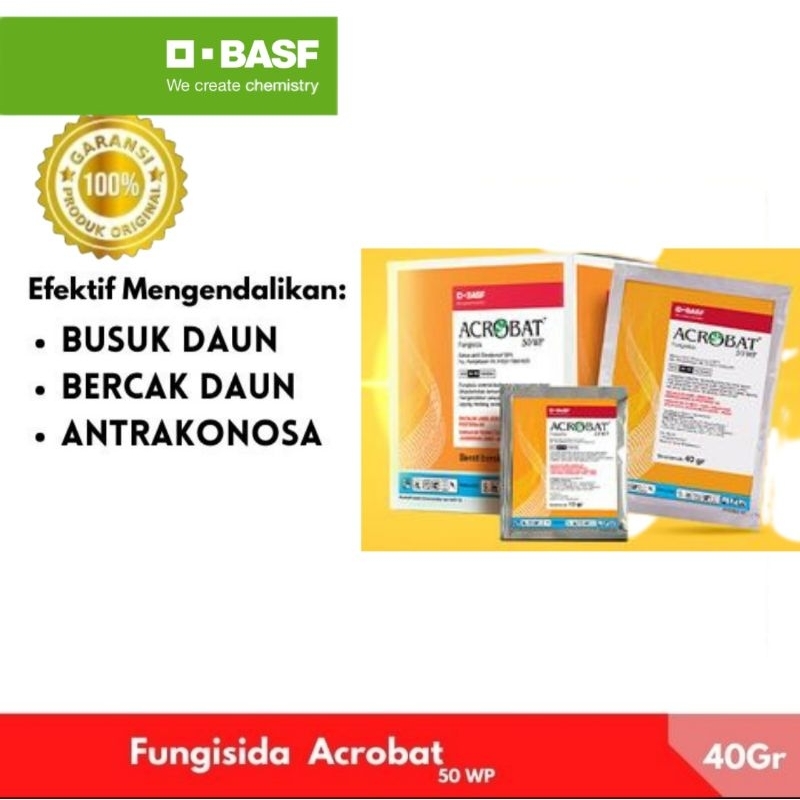 Jual Acrobat 50 WP (40gr) - Fungisida Sistemik [Obat Layu Fusarium Jamur] | Shopee Indonesia